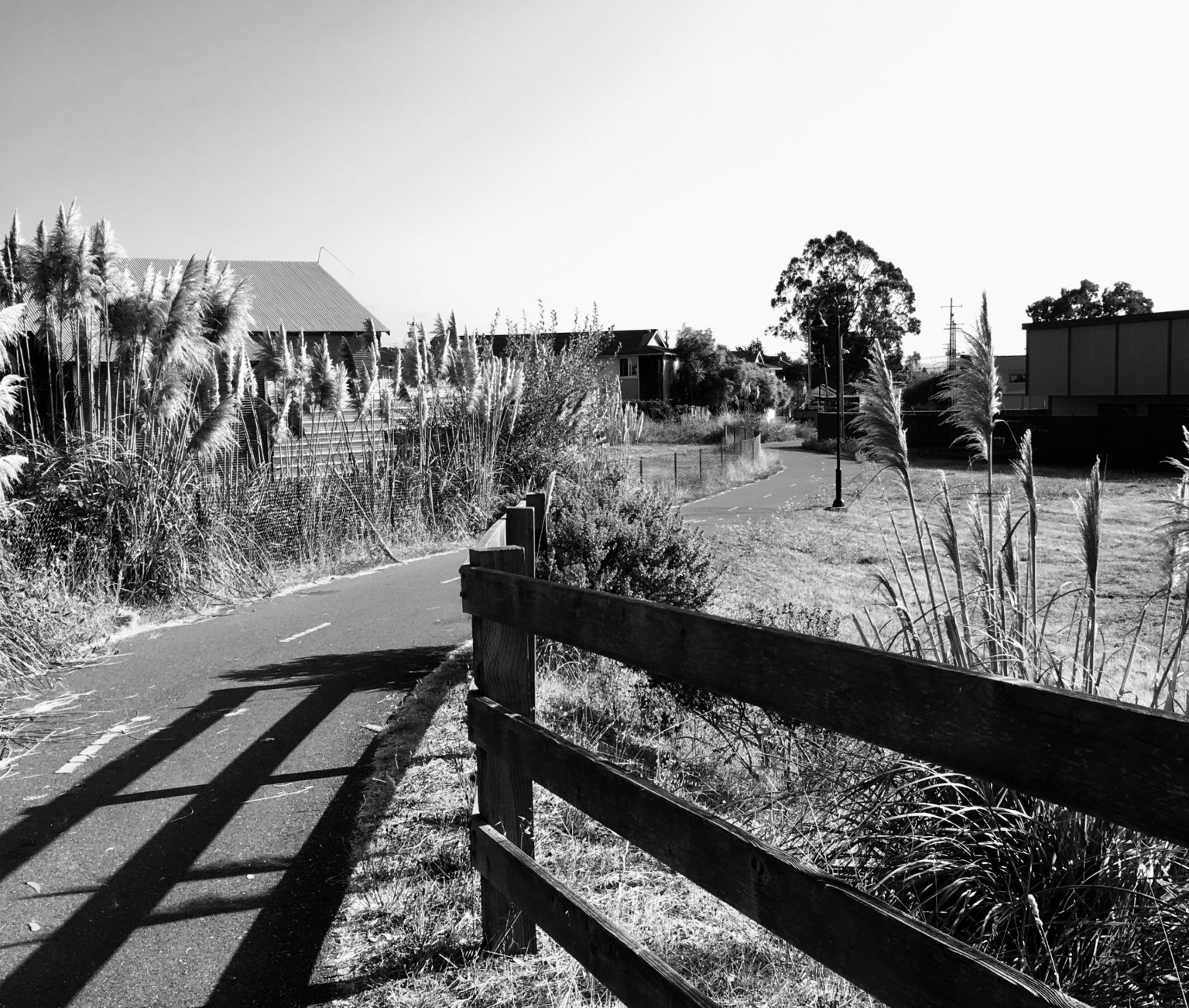 About Us – Arcata L Street Linear Park