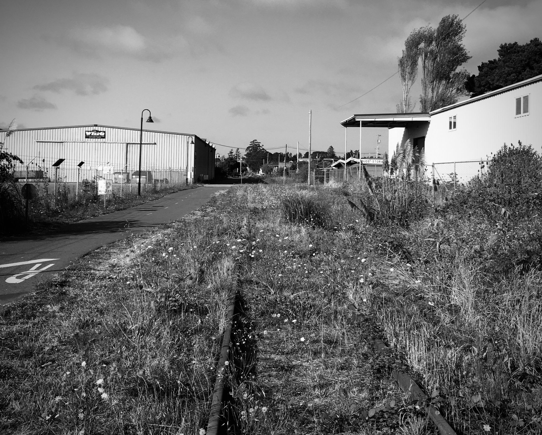Petition for the L street Pathway to Become a Permanent Linear Park ...