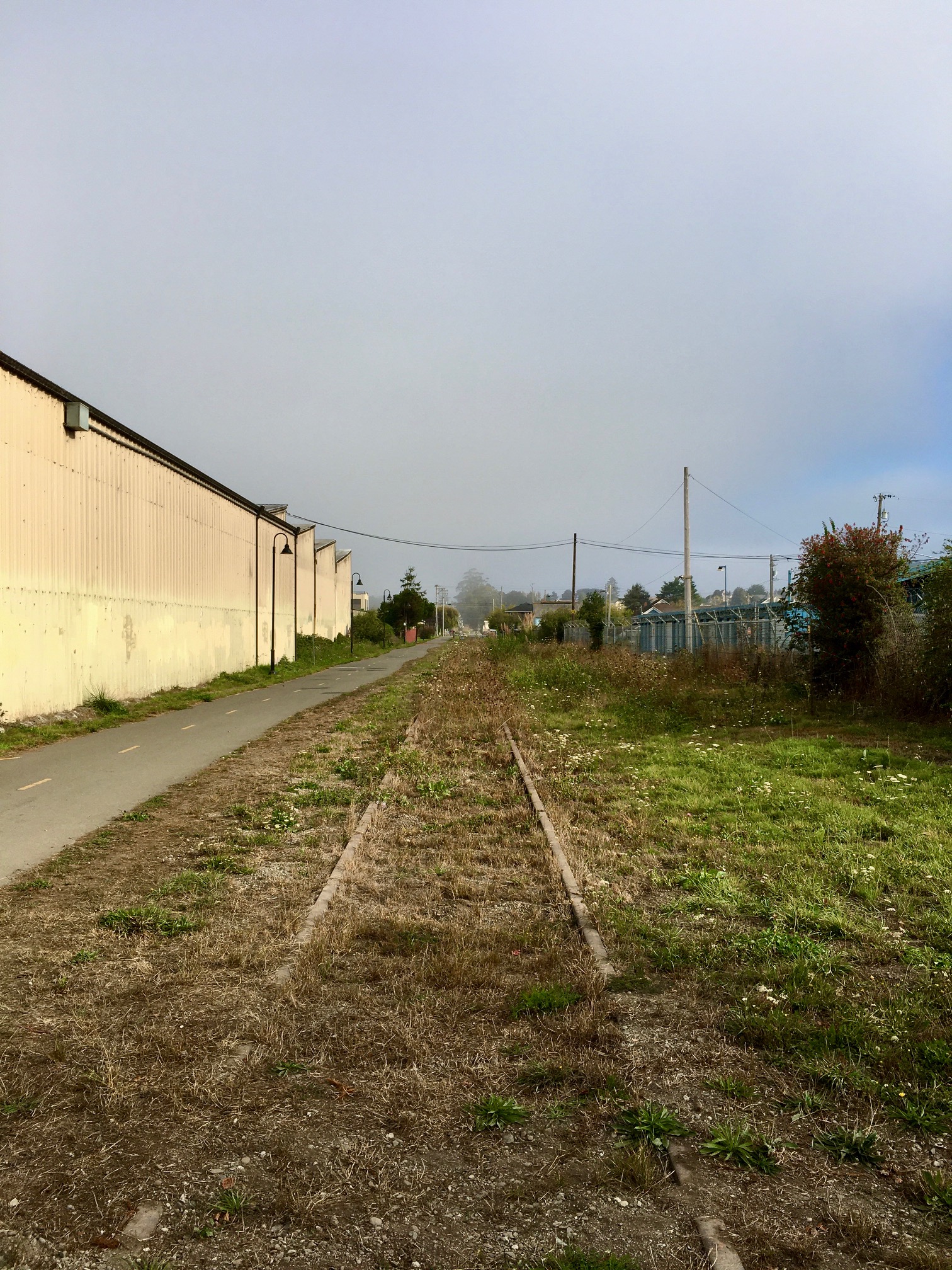 Views of the L Street Corridor North to South – Arcata L Street Linear Park